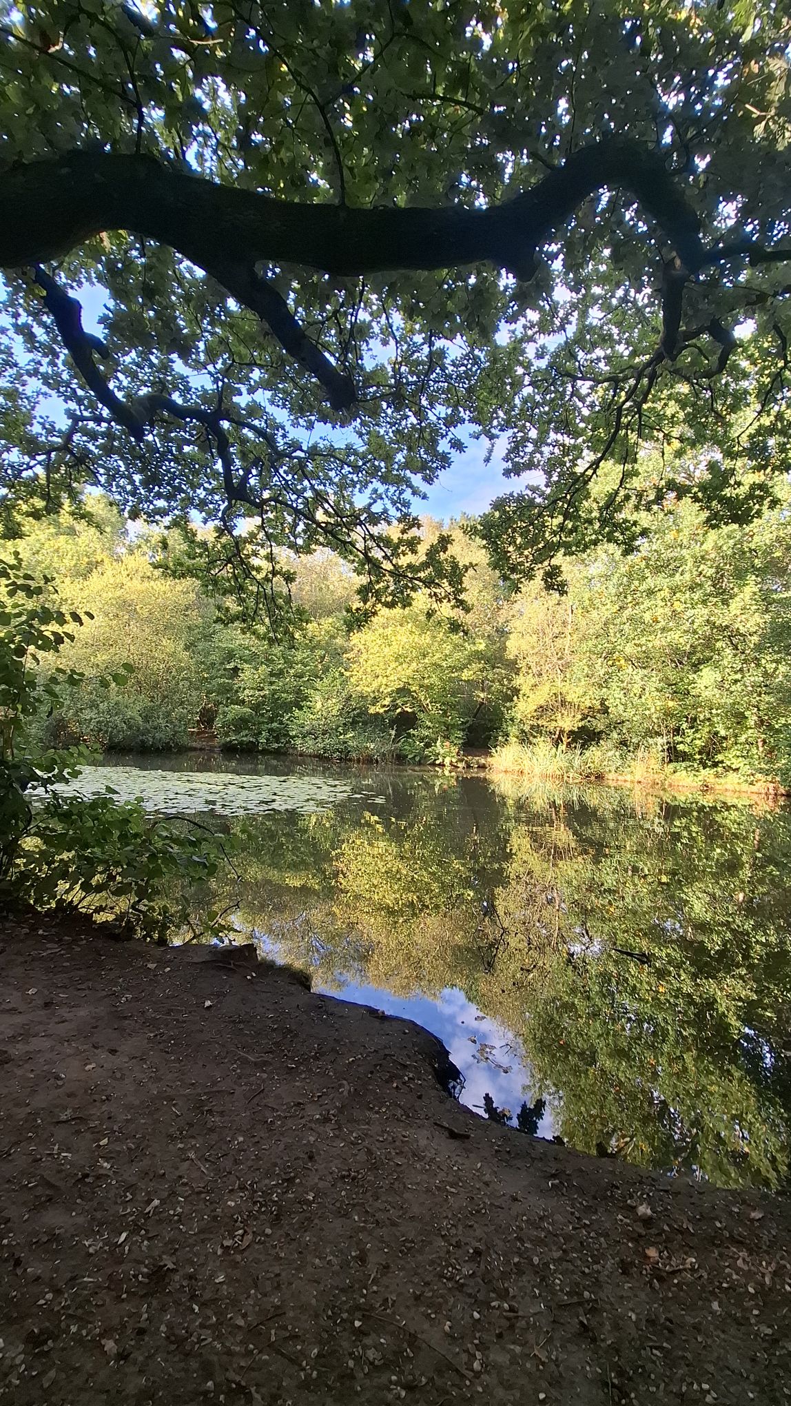 Motherhood, Mess, and Morning Magic: How I Survive the Chaos – Mamas ...